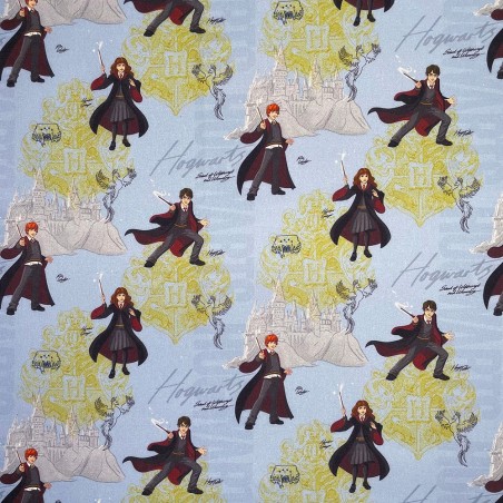 100% Cotton Fabric Digital Harry Potter & Friends Hogwarts Hermione ...
