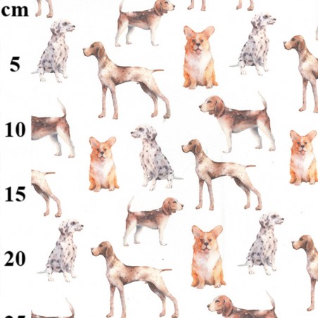 100% Cotton Digital Fabric Rose & Hubble Dogs Puppy Dog Animals 150cm Wide