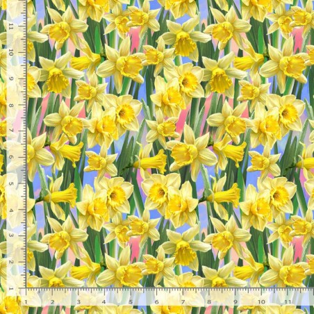 100% Cotton Digital Fabric Timeless Treasures Yellow Daffodil Flowers ...