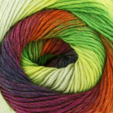 King Cole Riot DK Knitting Yarn Knit Wool 100g Ball Acrylic